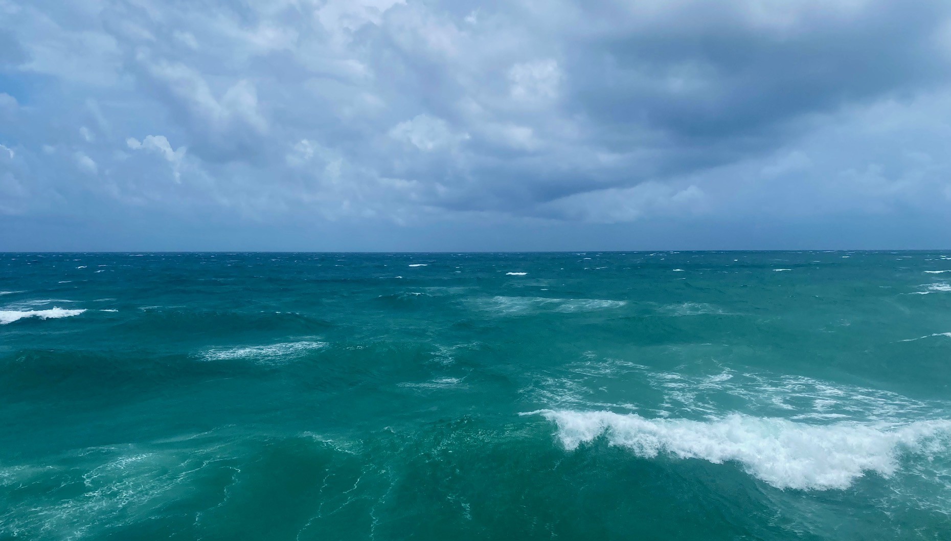 Psychiatry & Wellbeing - Dr. Dannette Napier DO